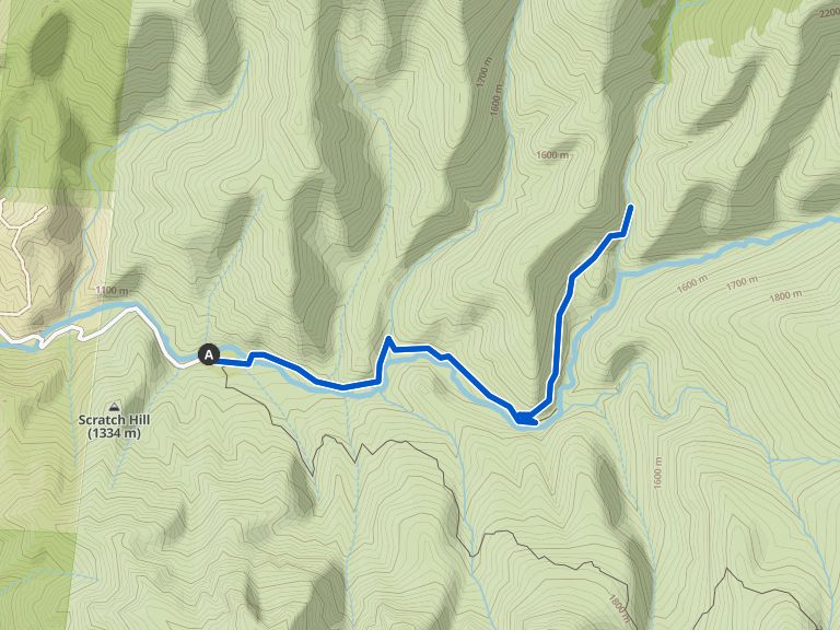 Lady Bug Trail — Kings Canyon & Sequoia National Park | escursione | komoot